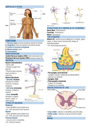 [Solved] how can you distinguish among the cephalic region the cranial ...