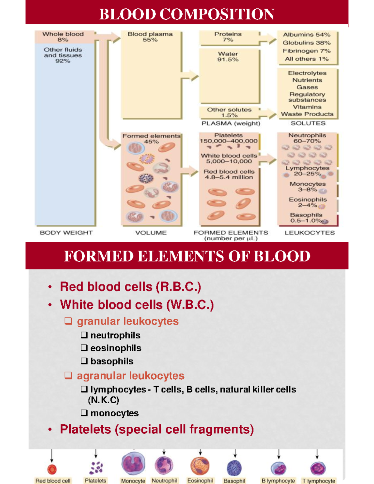 Blood Composition - human physiology - BLOOD COMPOSITION FORMED ...