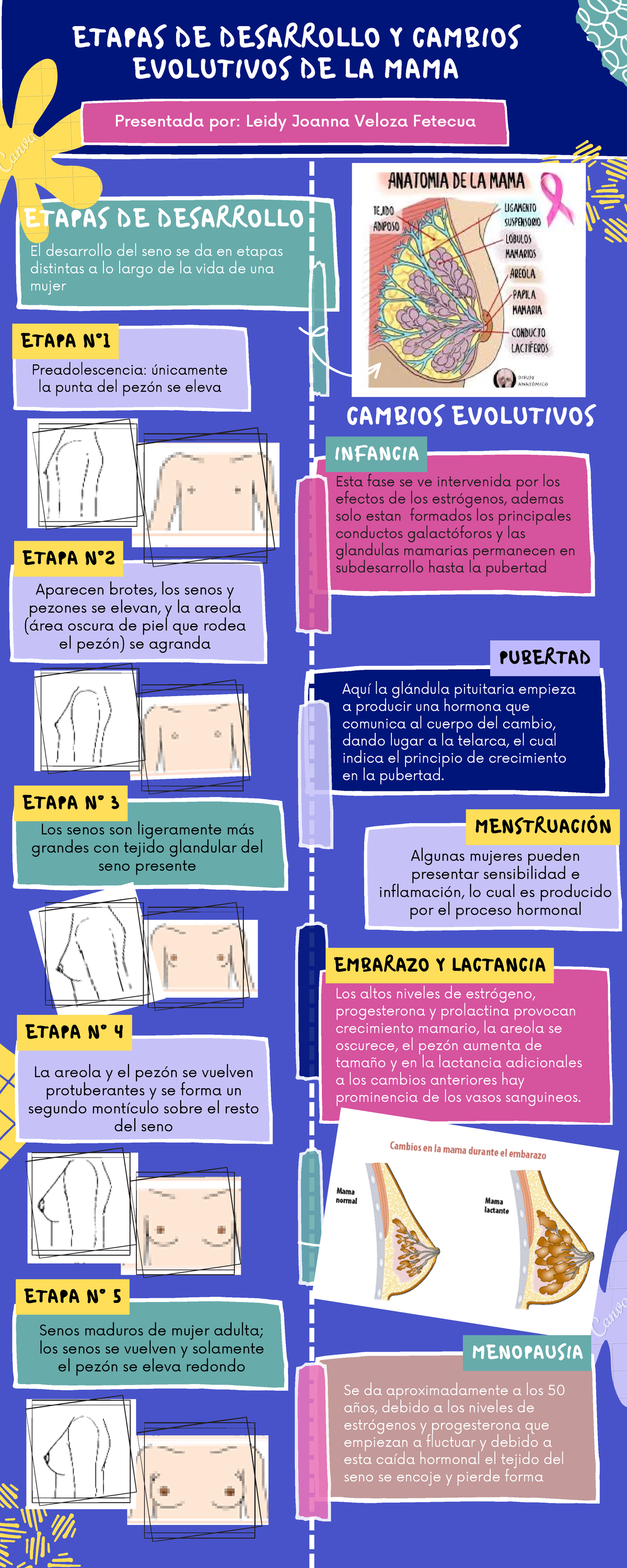 Infografía joanna veloza - Presentada por: Leidy Joanna Veloza Fetecua ...