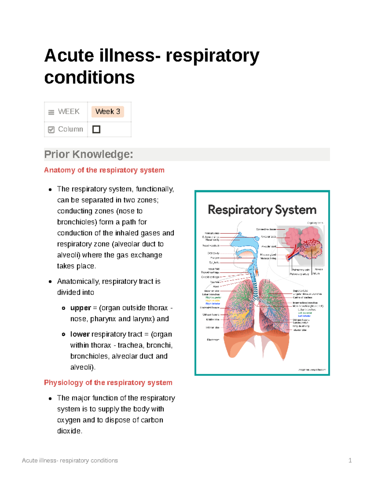 Acute illness- respiratory conditions - Acute illness- respiratory ...