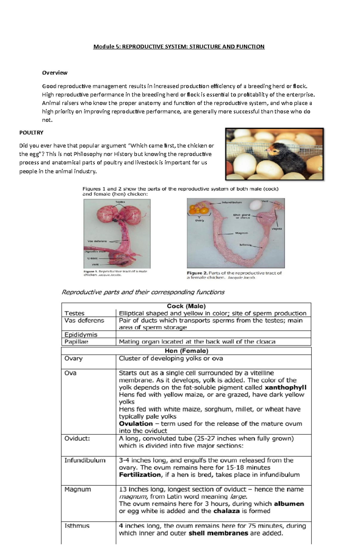 Reviewer 5 - Review - Module 5: REPRODUCTIVE SYSTEM: STRUCTURE AND ...