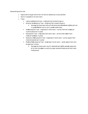 MMT - Reference guide for manual muscle testing including patient ...