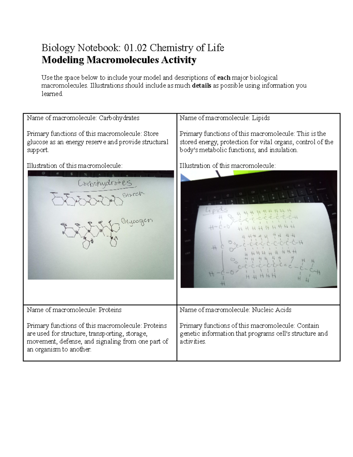 01.02 Chemistry of Life-1 - Biology Notebook: 01 Chemistry of Life ...