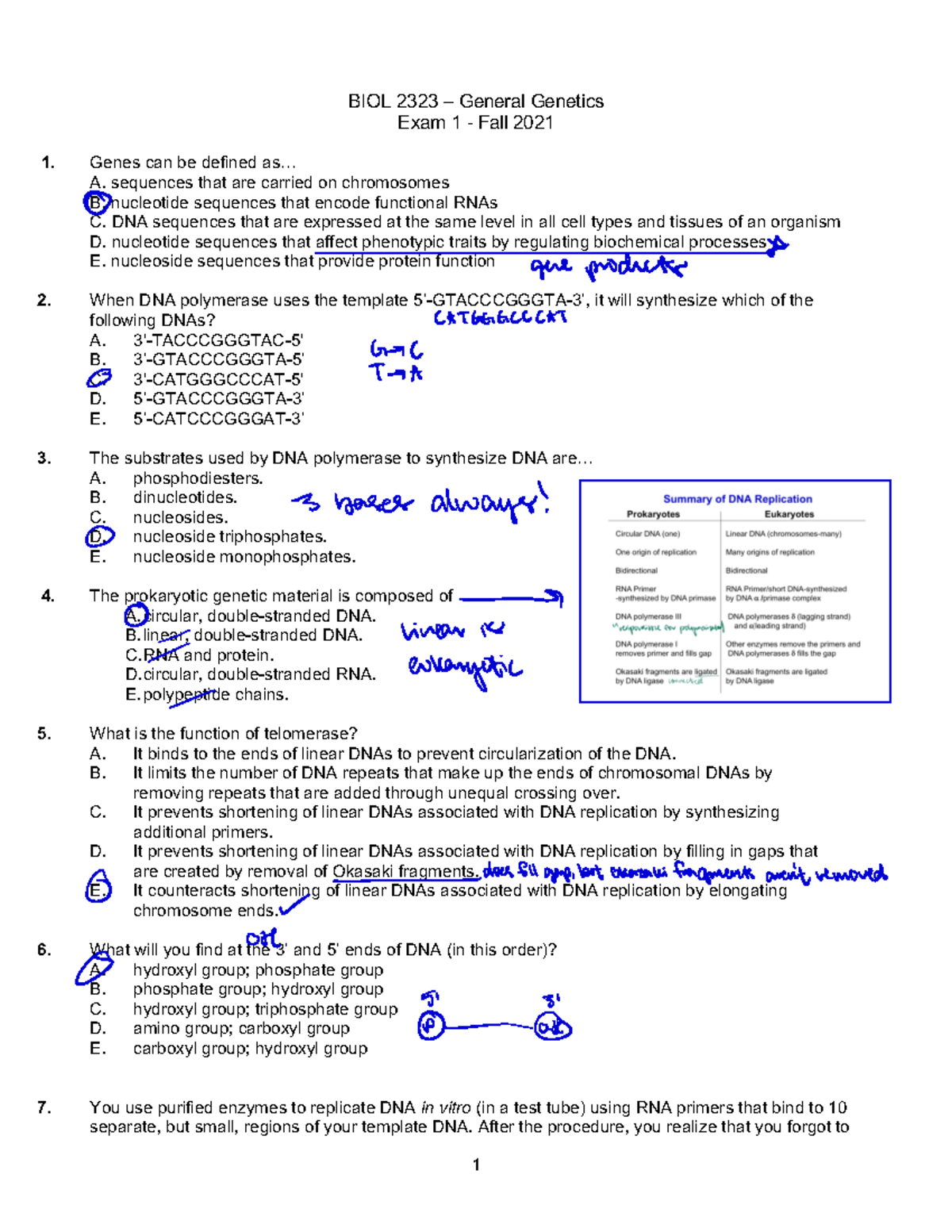 Fall 2021 Genetics Exam 1 ( Completed) - BIOL 2323 – General Genetics ...