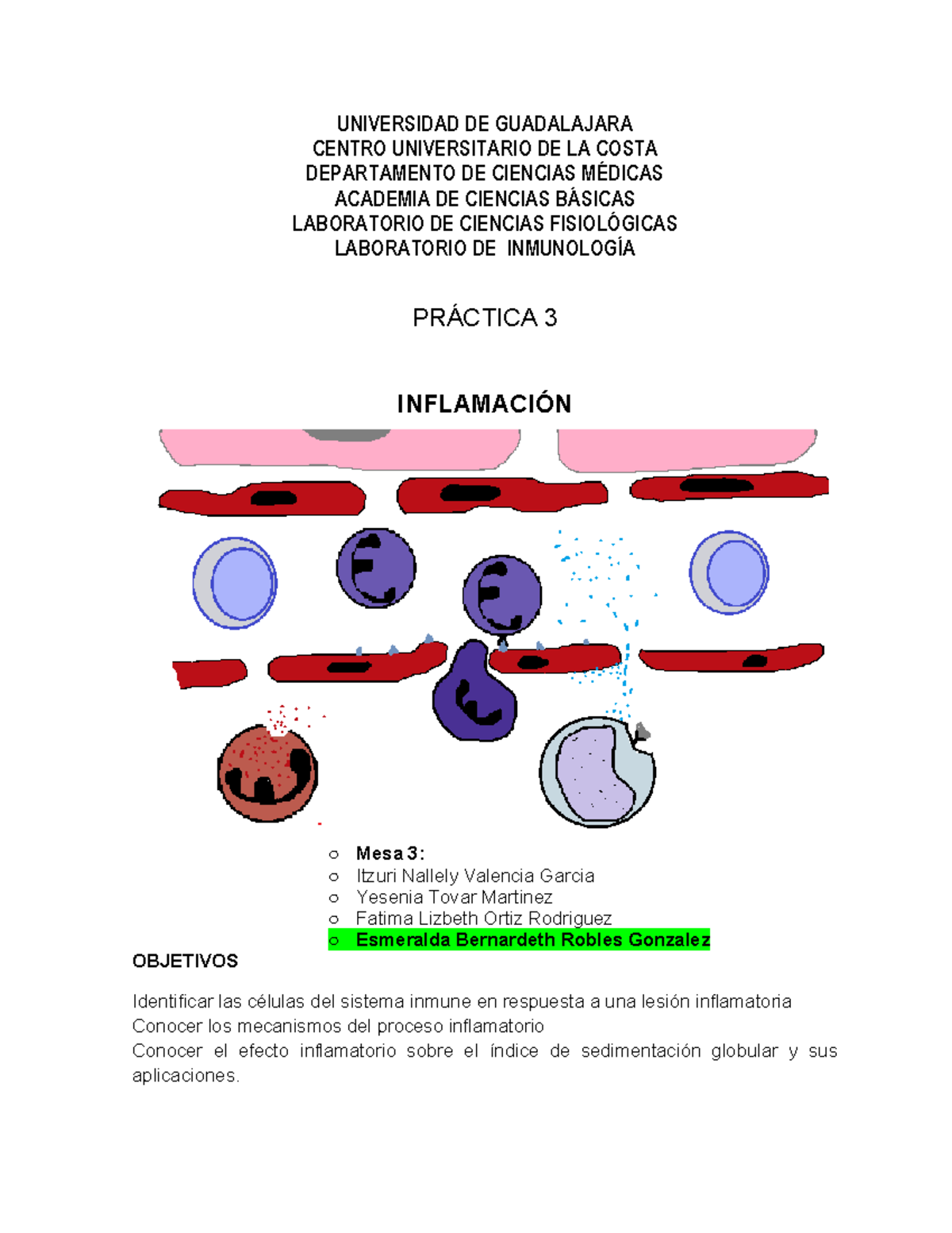 Práctica 3 Inflamación - UNIVERSIDAD DE GUADALAJARA CENTRO ...