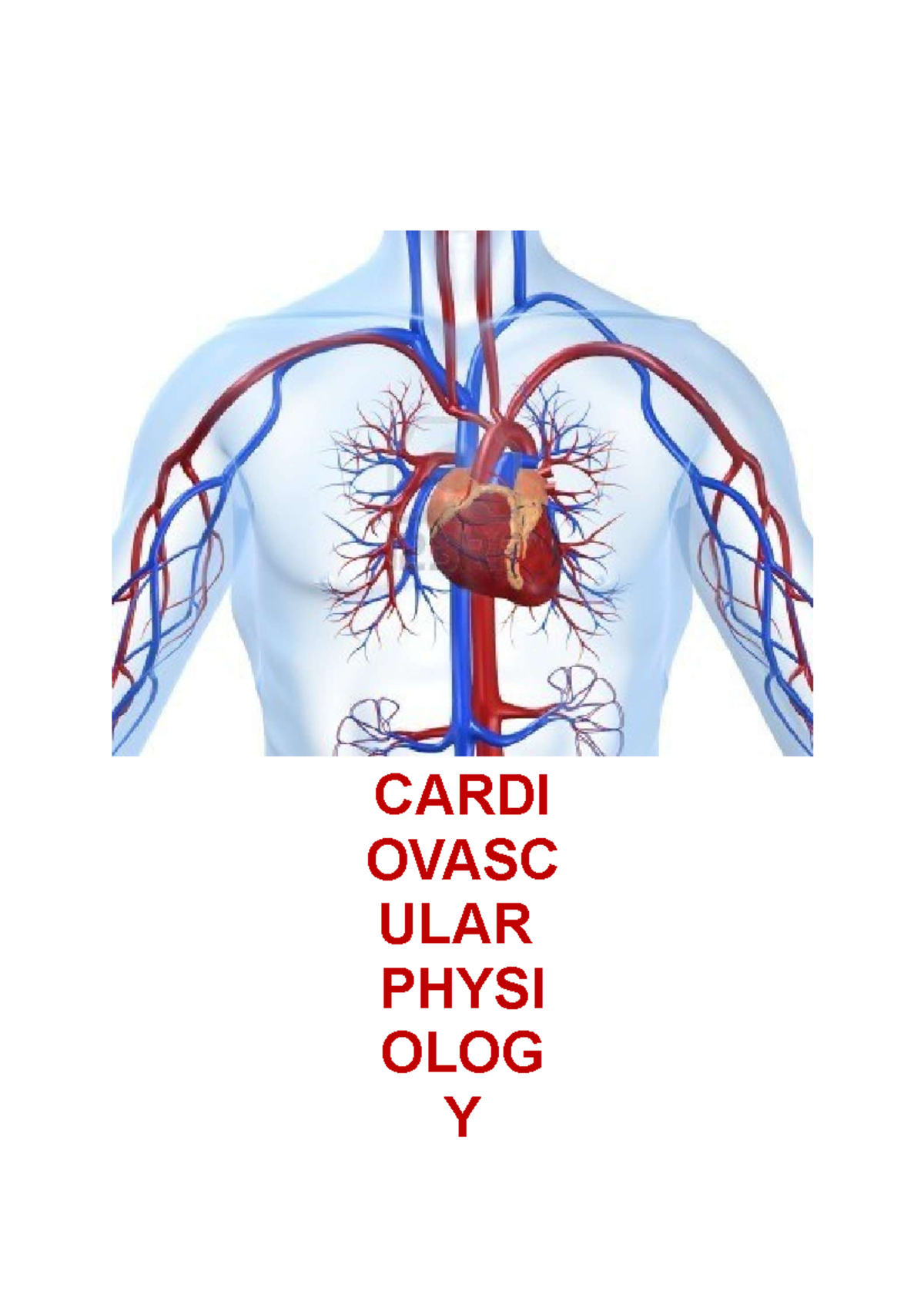 Cardiovascular System - CARDI OVASC ULAR PHYSI OLOG Y OVERVIEW ...