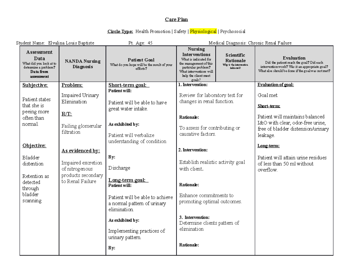 Care Plan 1 - nnnjj - Care Plan Circle Type: Health Promotion | Safety ...