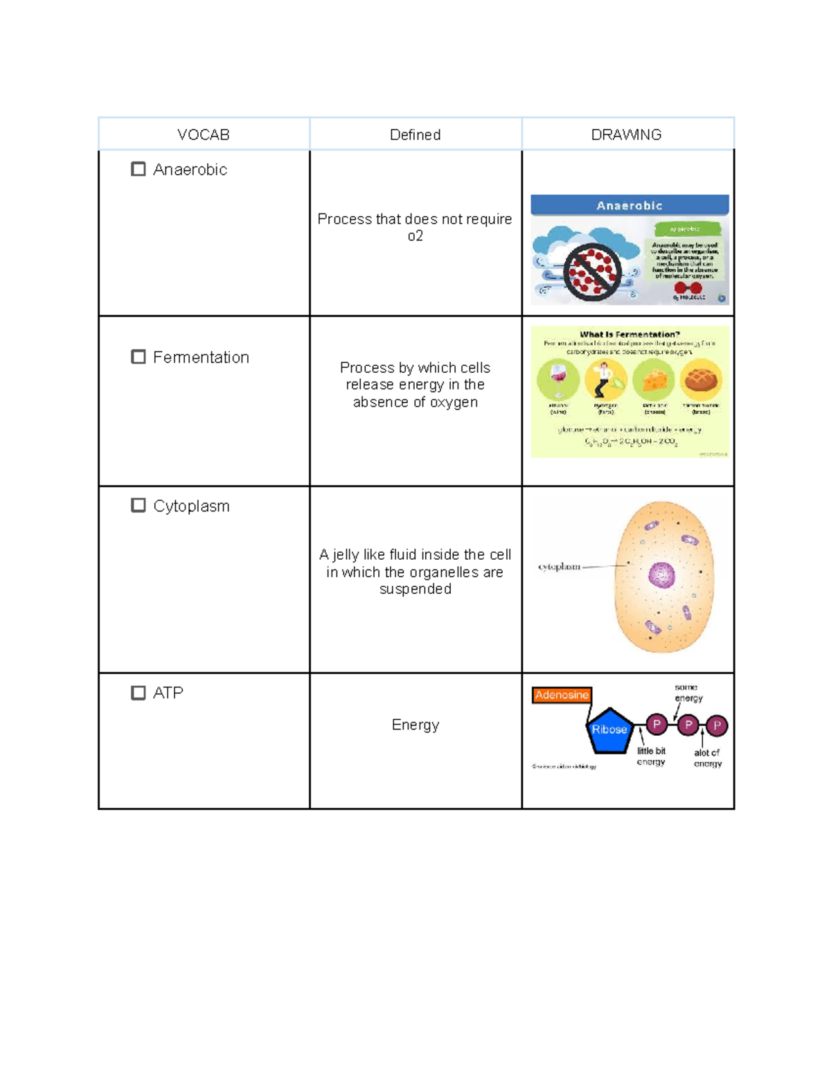 Chemo Vocab Chart - Bio notes from clas - VOCAB Defined DRAWING ...