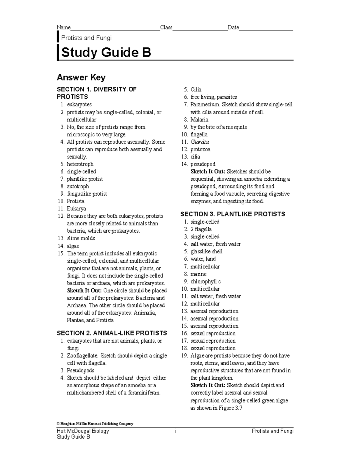 Study guide protists and fungi word - - Studocu