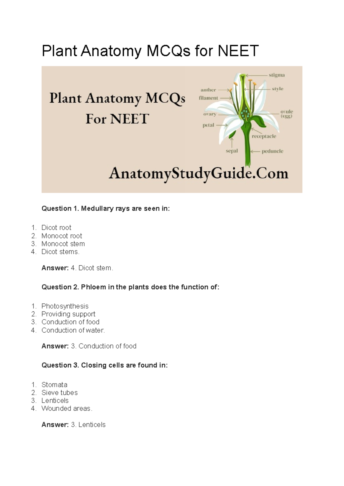 Plant Anatomy MCQs for NEET - Plant Anatomy MCQs for NEET Question 1 ...