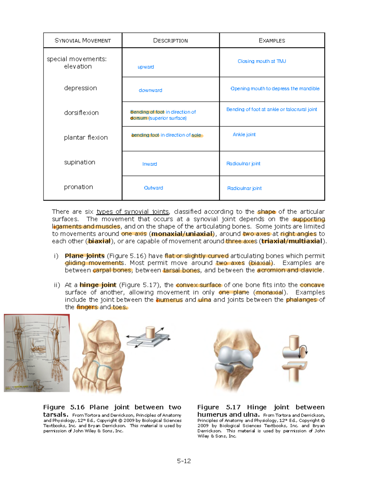 LAB 5 - Appendicular Skeleton 7 - 5- SYNOVIAL MOVEMENT DESCRIPTION ...