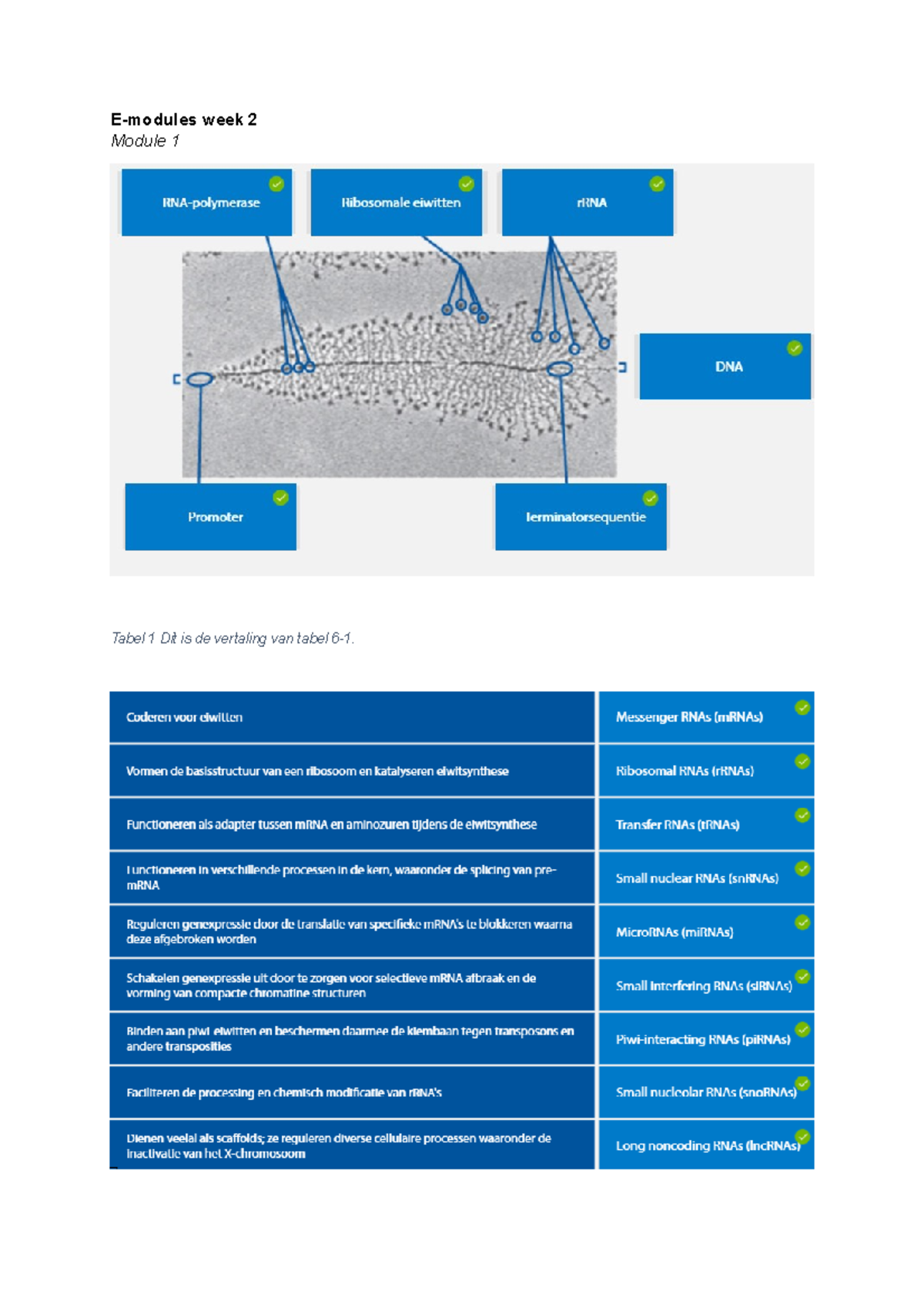 E-modules week 2 module 1 screenshots Genoom BMW - E-modules week 2 ...