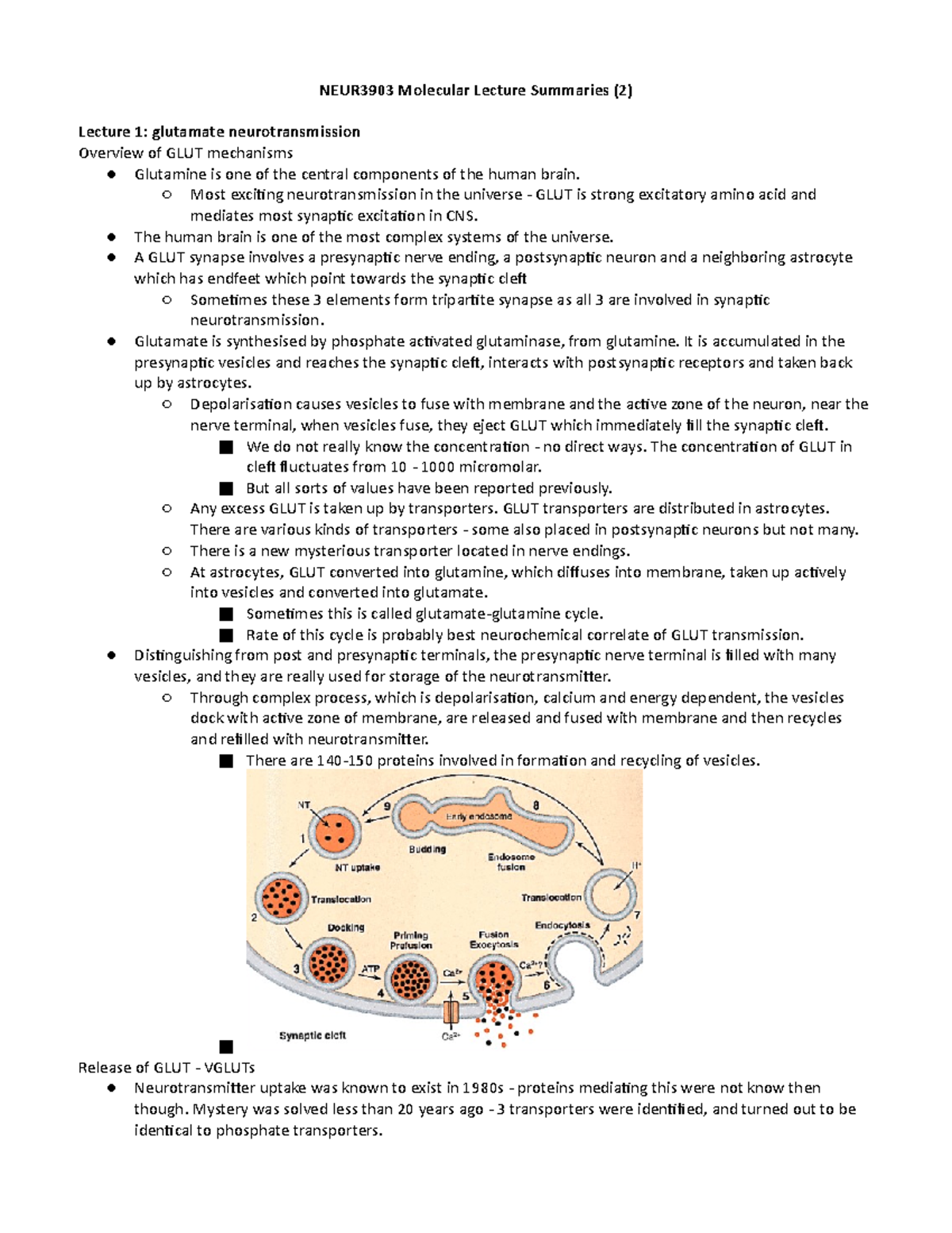 2. Molecular Lectures - NEUR3003 - NEUR3903 Molecular Lecture Summaries (2) Lecture 1: glutamate ...