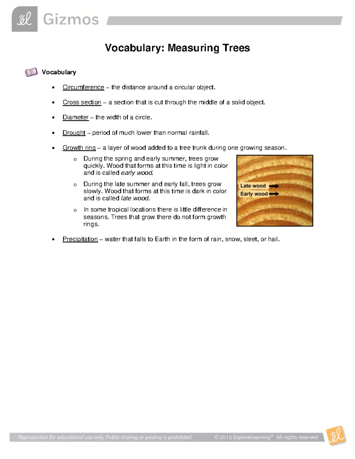 Measuring Trees Vocab - good - 2019 Vocabulary: Measuring Trees ...