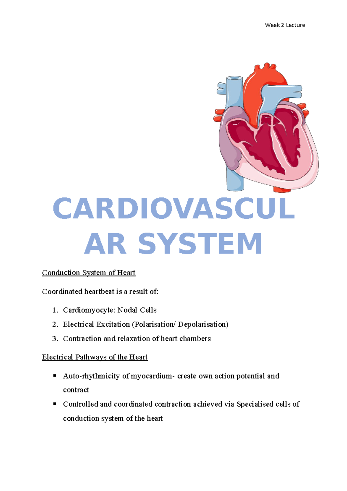 Cardiovascular System - scn1111 - ECU - Studocu