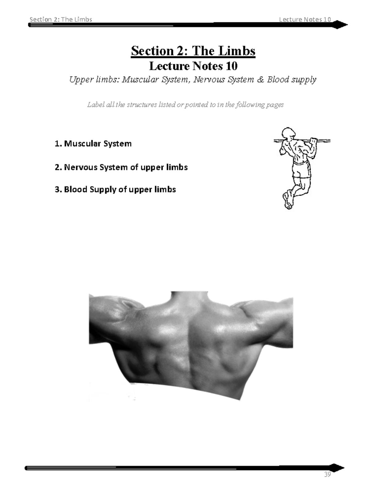 10-Lecture N 10-mnb upper limb - Section 2: The Limbs Lecture Notes 10 ...
