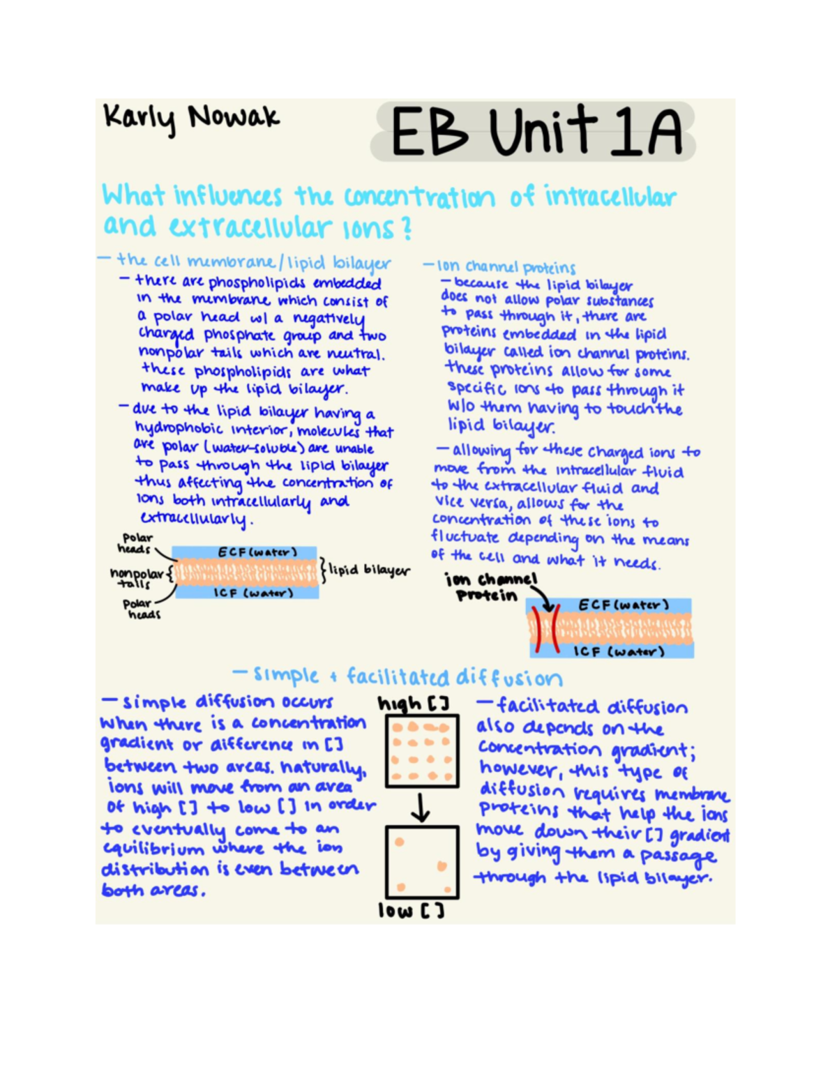 EB Unit 1A - Outlines of the textbook and important material to be ...