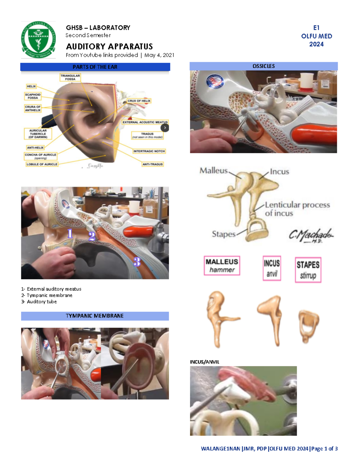 05 04 Auditory Lab - whatever - WALANGE1NAN|JMR, PDP|OLFU MED 2024|Page ...