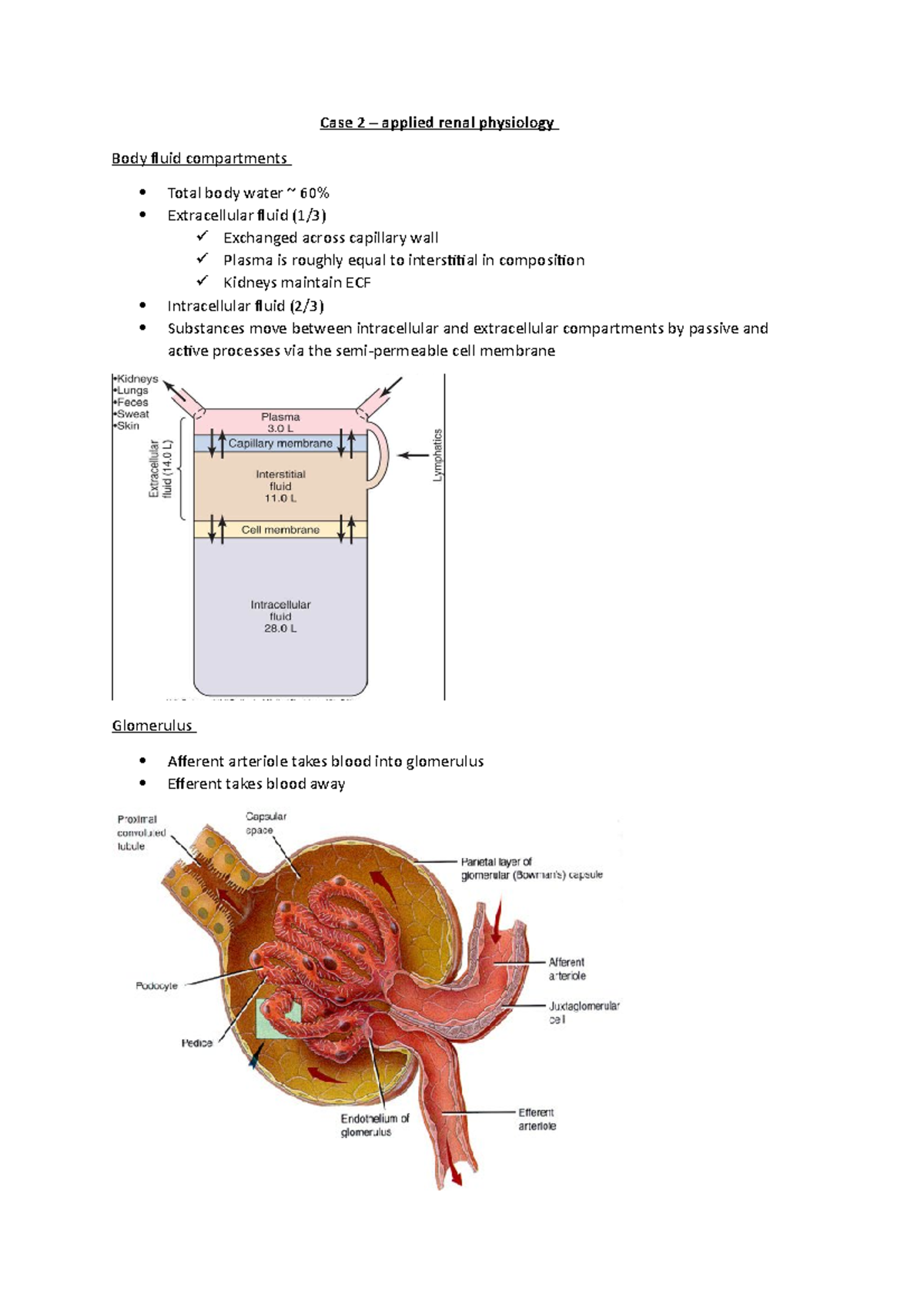 Case 2 - applied renal physiology - Case 2 – applied renal physiology ...