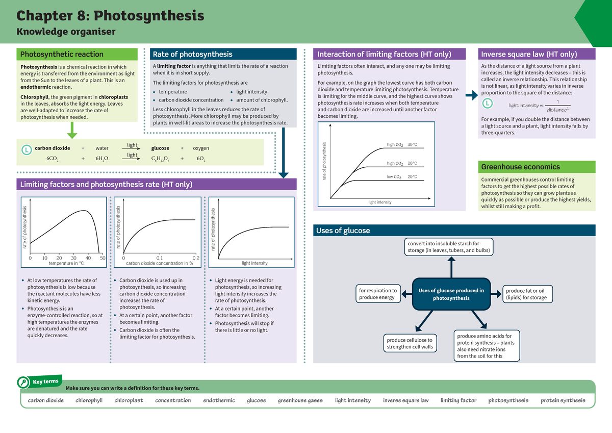 Knowledge organiser photosynthesis - Chapter 8: Photosynthesis Knowledge organiser Make sure you ...