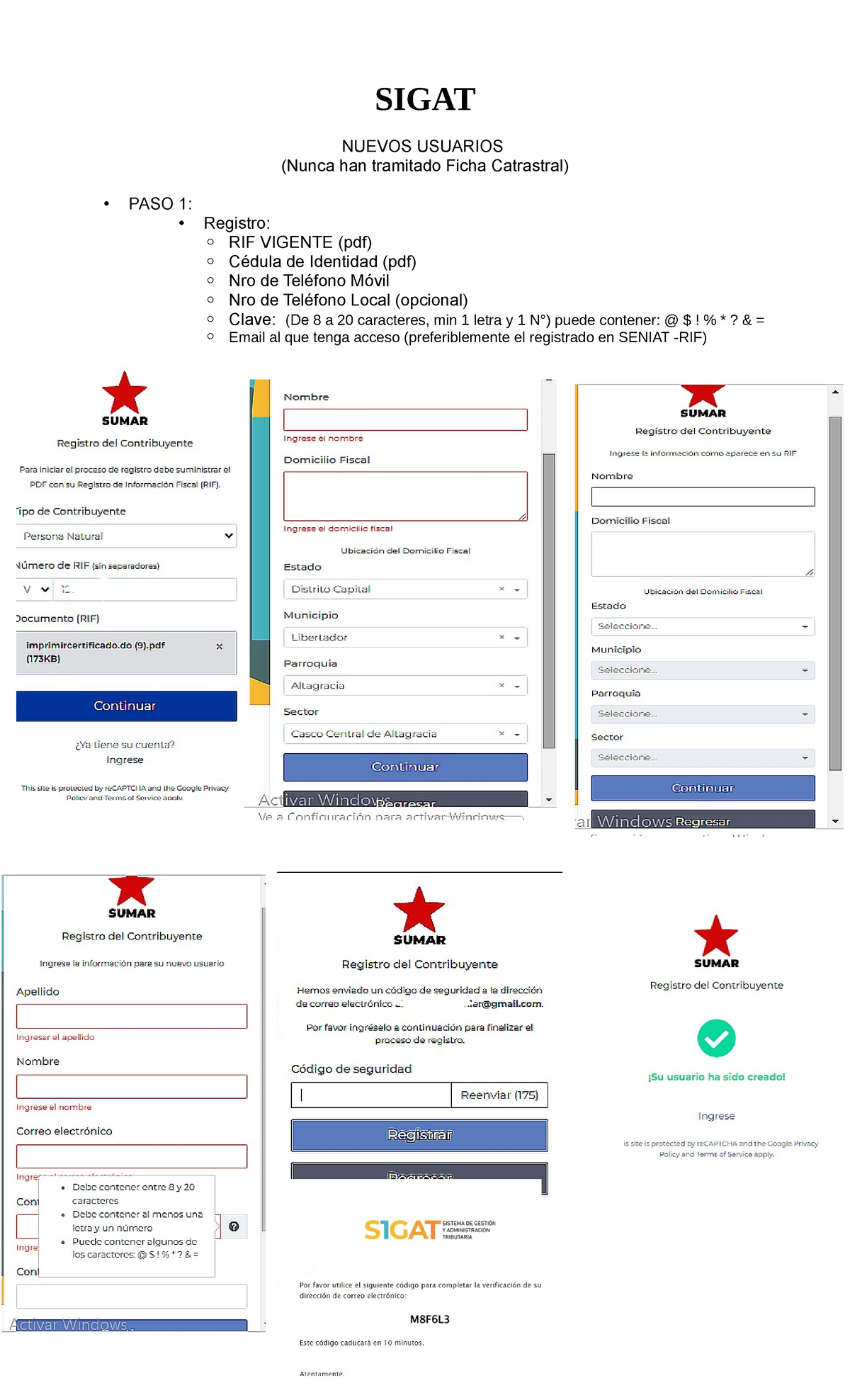Paso a Paso - Registro Sigat - Estadistica - SIGAT NUEVOS USUARIOS ...