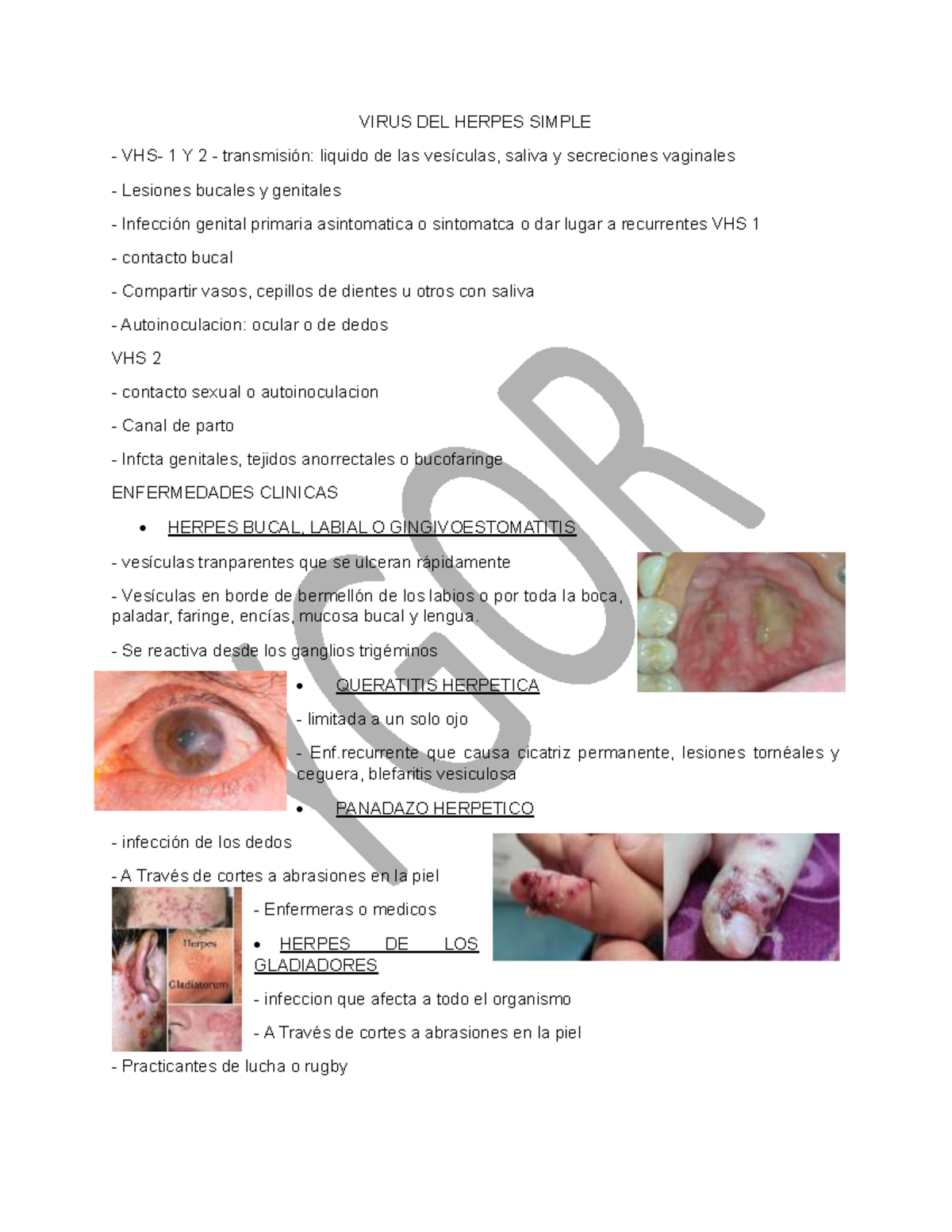 Virus del Herpes Simple - VIRUS DEL HERPES SIMPLE VHS- 1 Y 2 ...