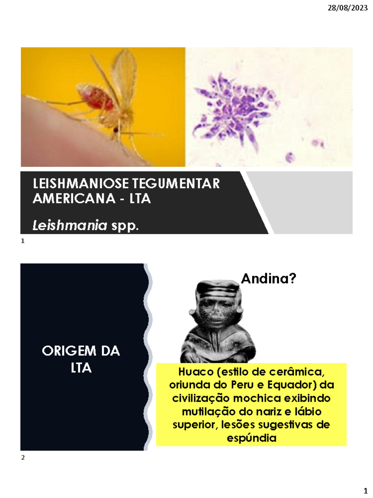 Aula 4 - Leishmaniose Tegumentar Americana- Final - LEISHMANIOSE ...