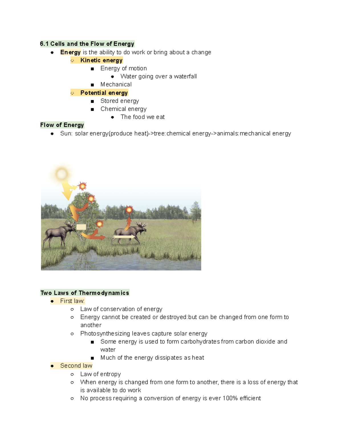 Bio 103 ch 6 lecture notes - 6 Cells and the Flow of Energy Energy is ...