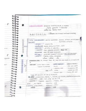 Microbio 5 - Teacher: Andrew Brader prokaryotes and eukaryotes - bio ...