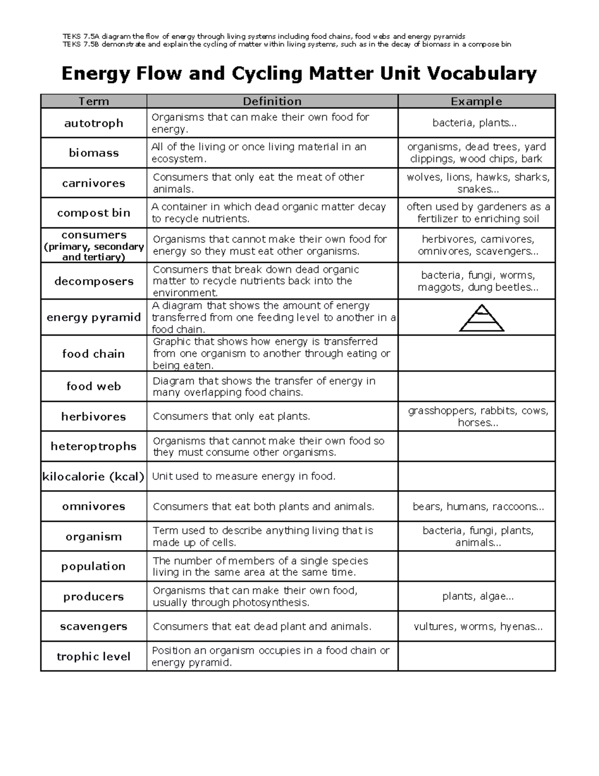 Morgan Waite - Energy flow and cycling matter unit vocabulary - Energy ...