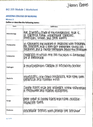 Full SPectrum Nursing with Mrs. Munoz - Full-Spectrum Nursing Model ...