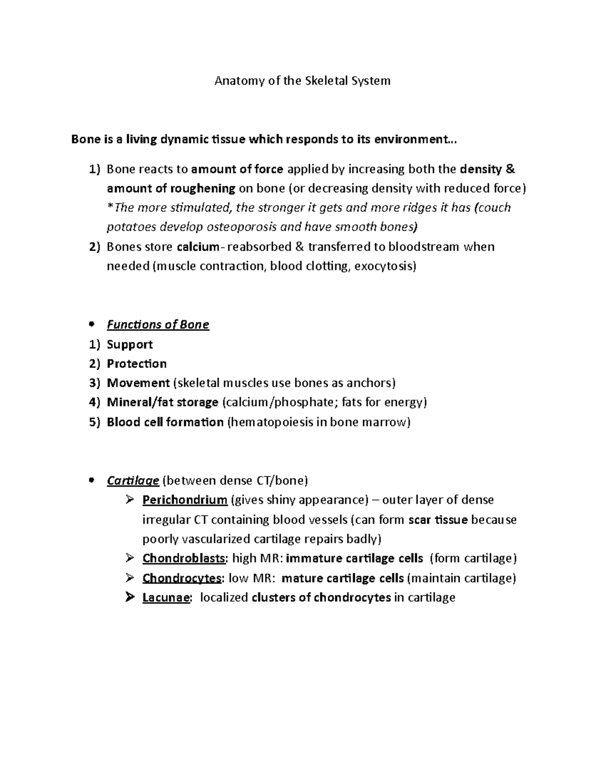 3 Anatomy of the Skeletal System - Anatomy of the Skeletal System Bone ...