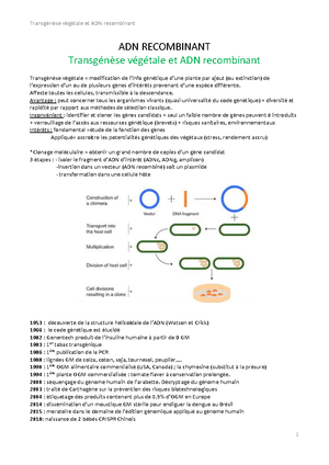 TP extraction d ADN plasmidique L2 SV - LICENCE 2SV - TP «technologie ...