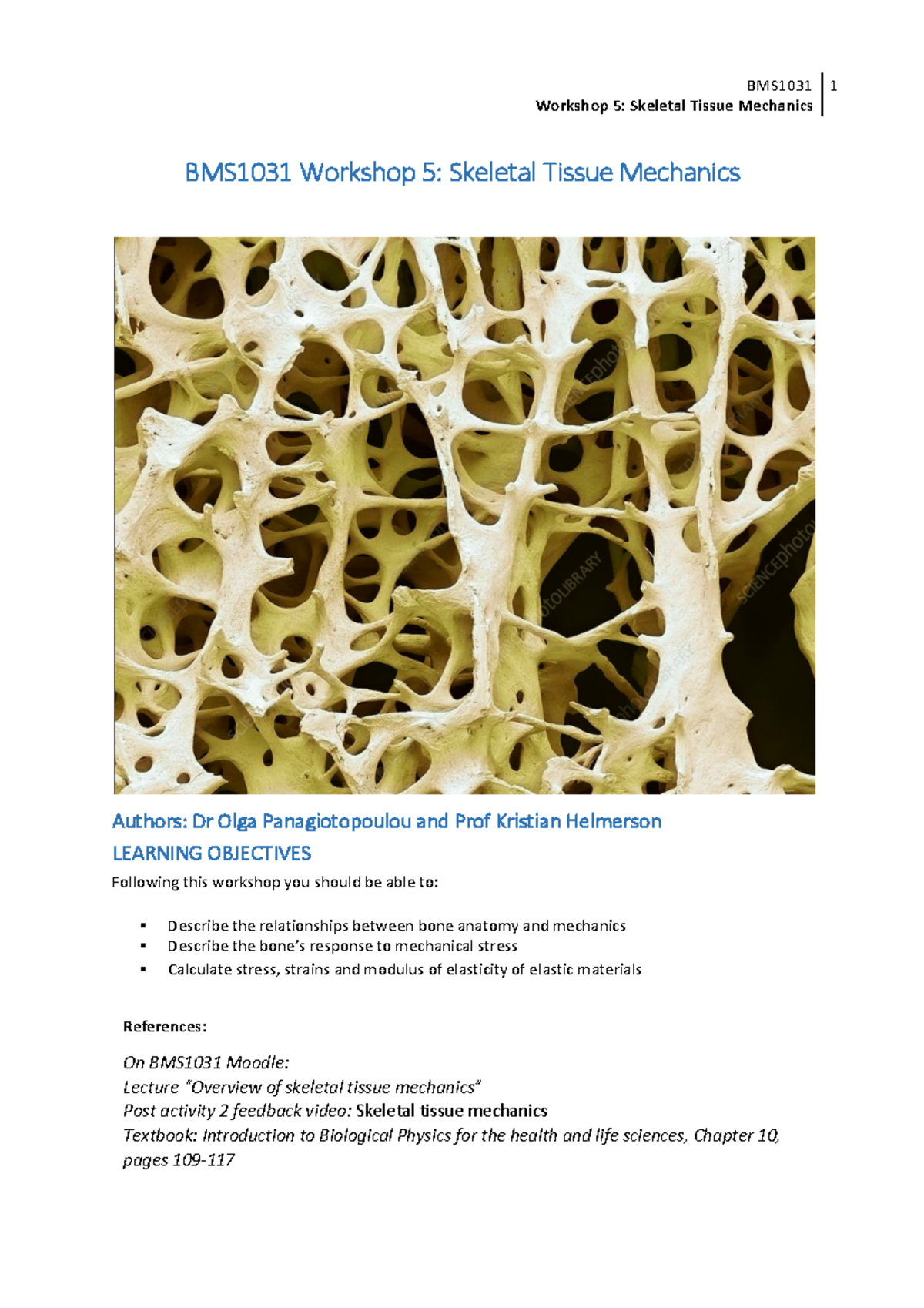 BMS1031 2021 Workshop 5 worksheet 5 - Skeletal Tissue Mechanics - with ...