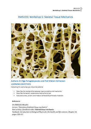 Lab 4 Post-Laboratory Worksheet BMS1062 - Student Stream B[16175 ...