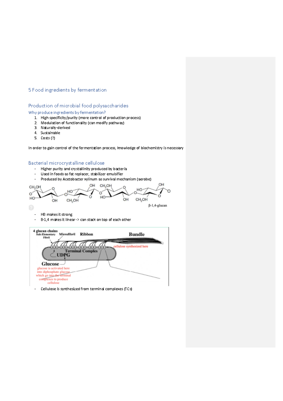 5 Food ingredients by fermentation - 5 Food ingredients by fermentation ...