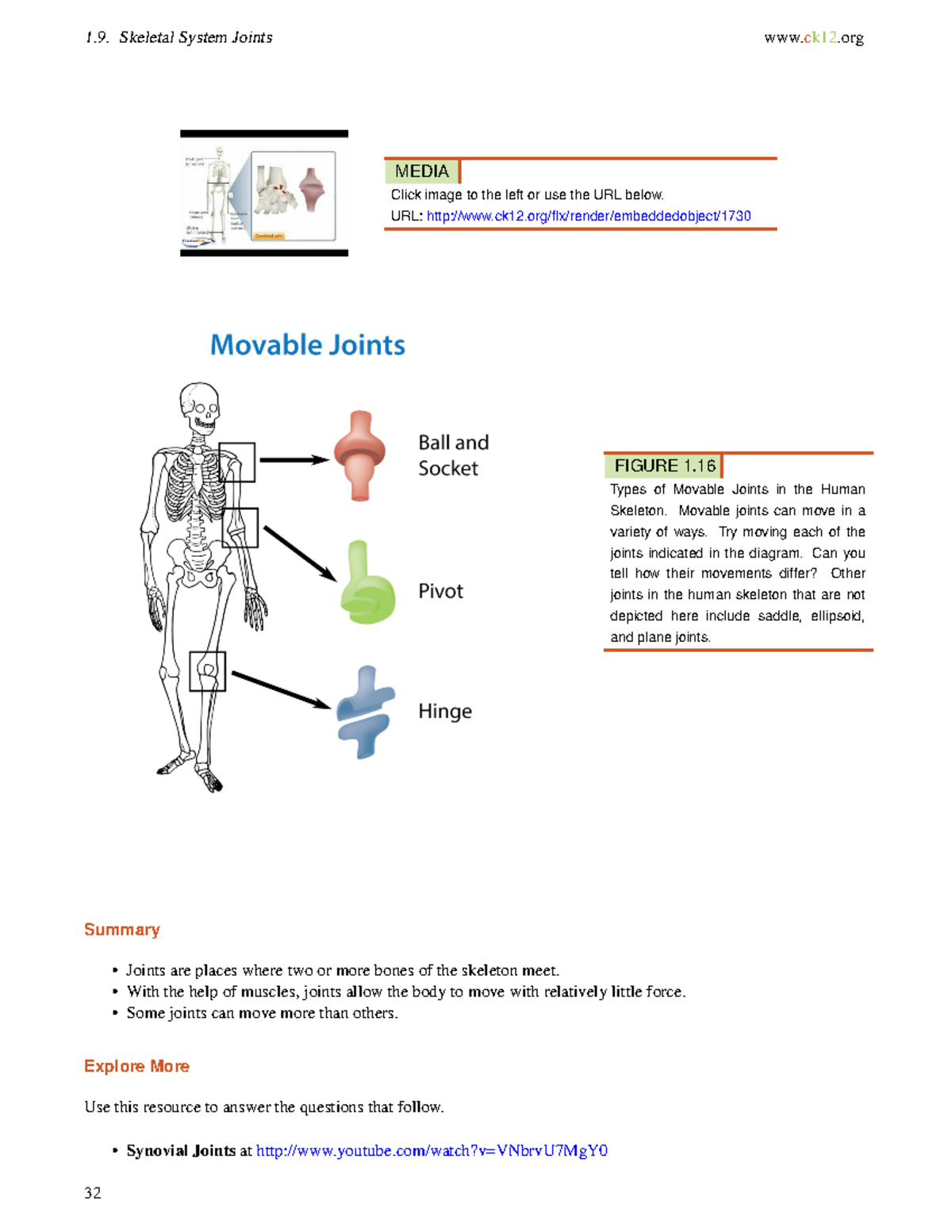 Evolution Evidence Video Biology Ck12 Foundation