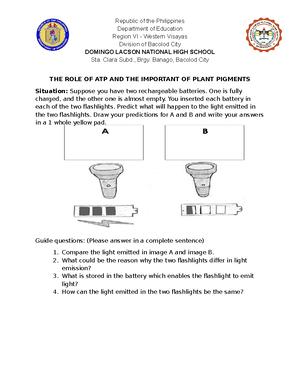 Karyotype- Layout- Worksheet - General Biology - KARYOTYPE LAYOUT ...