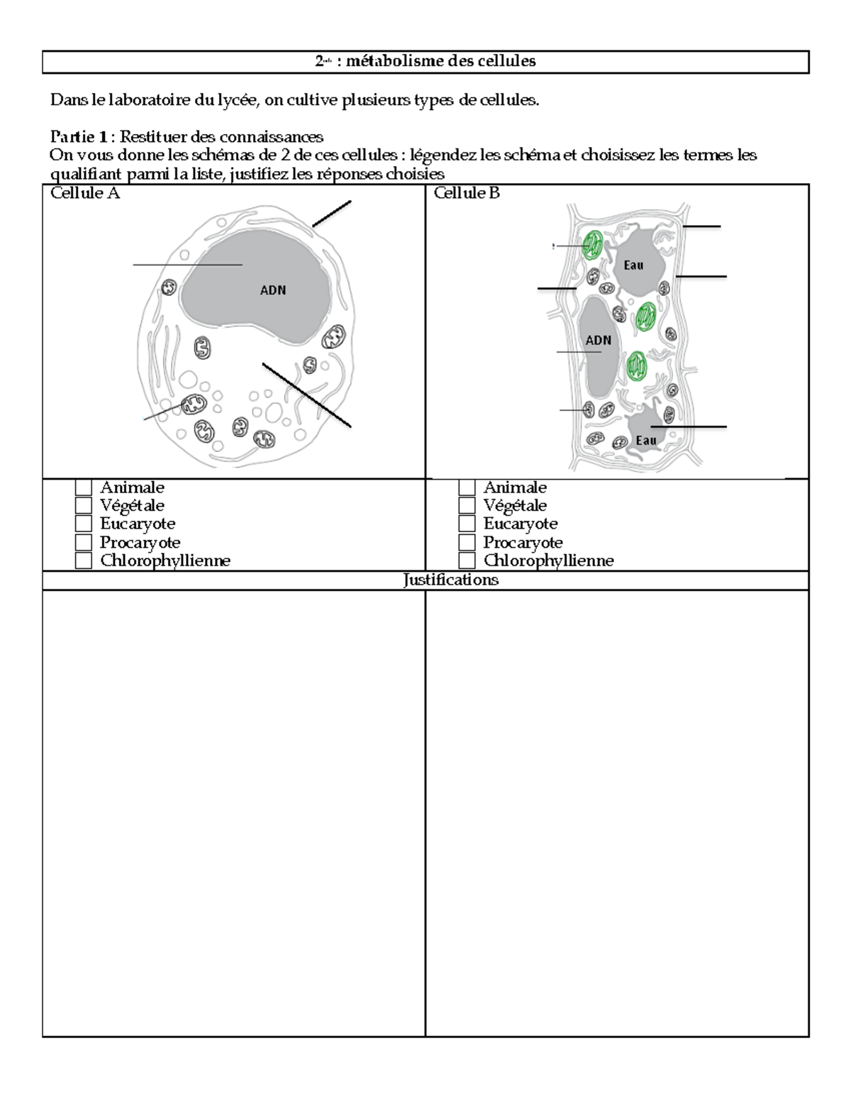 Devoir 4 le metabolisme des cellules - 2 nde : métabolisme des cellules Dans le laboratoire du ...