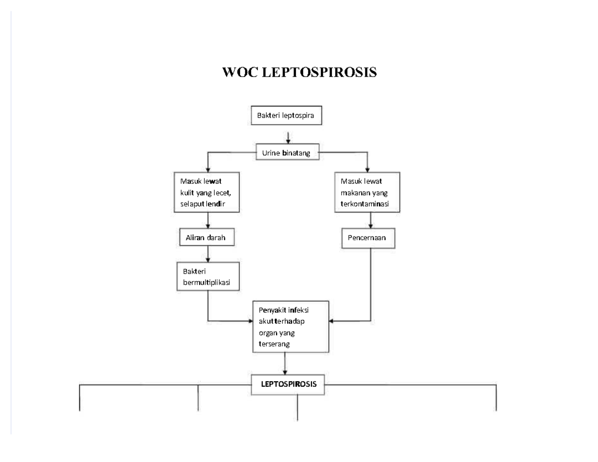 Pdf-woc-leptospirosis compress - WOC LEPTOSPIROSISWOC LEPTOSPIROSIS Bakteri leptospiraBakteri ...