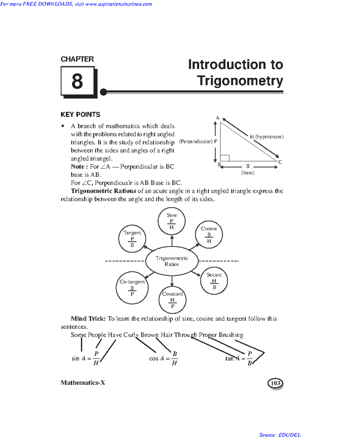 10 Maths Introduction to Trigonometry Notes Question Bank - Mathematics ...