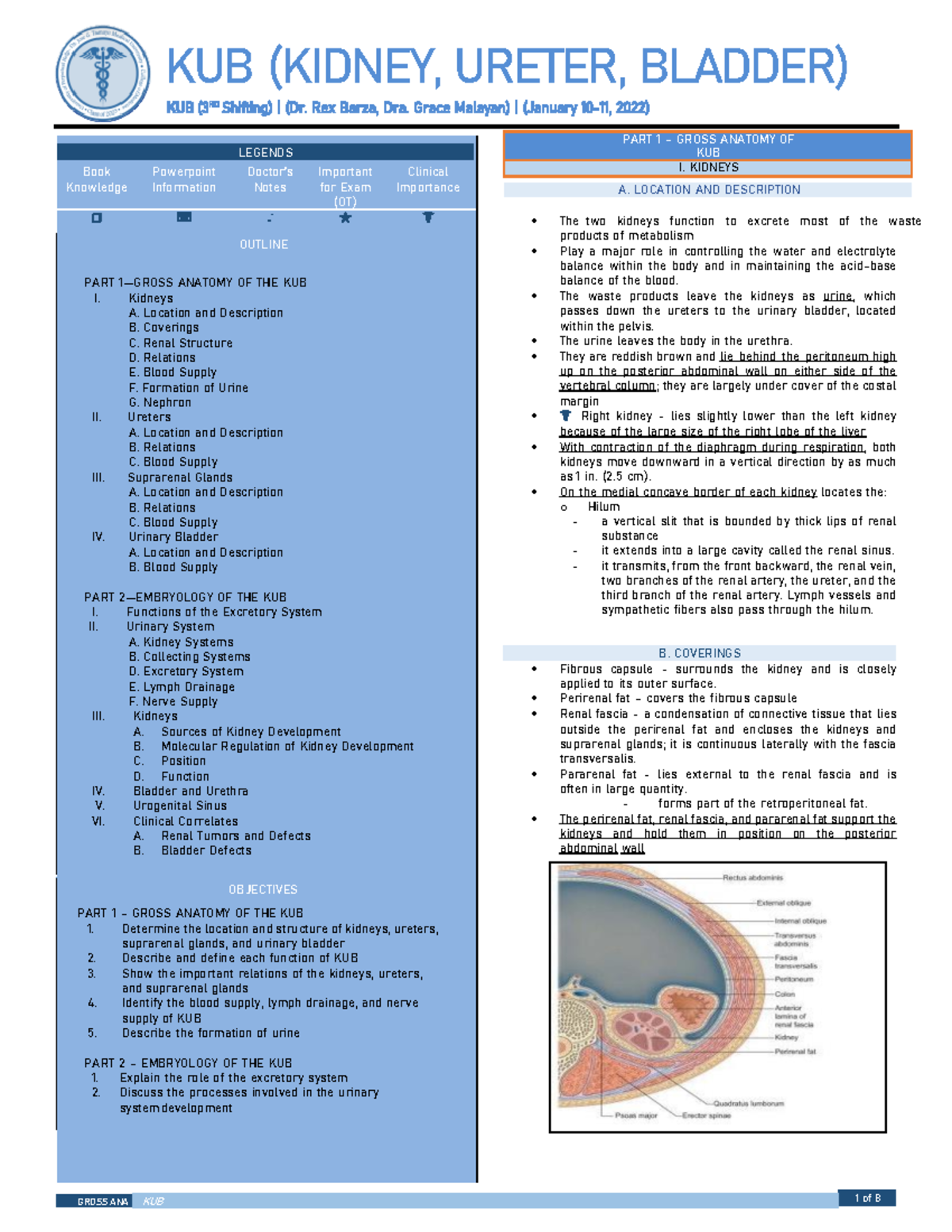 KUB Gross and Embryo - 1 of 8 PART 1 – GROSS ANATOMY OF KUB I. KIDNEYS ...