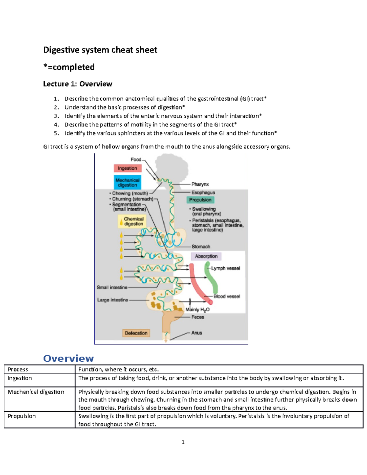 Module 2 cheat sheet - Self-made notes for exam - Digestive system ...
