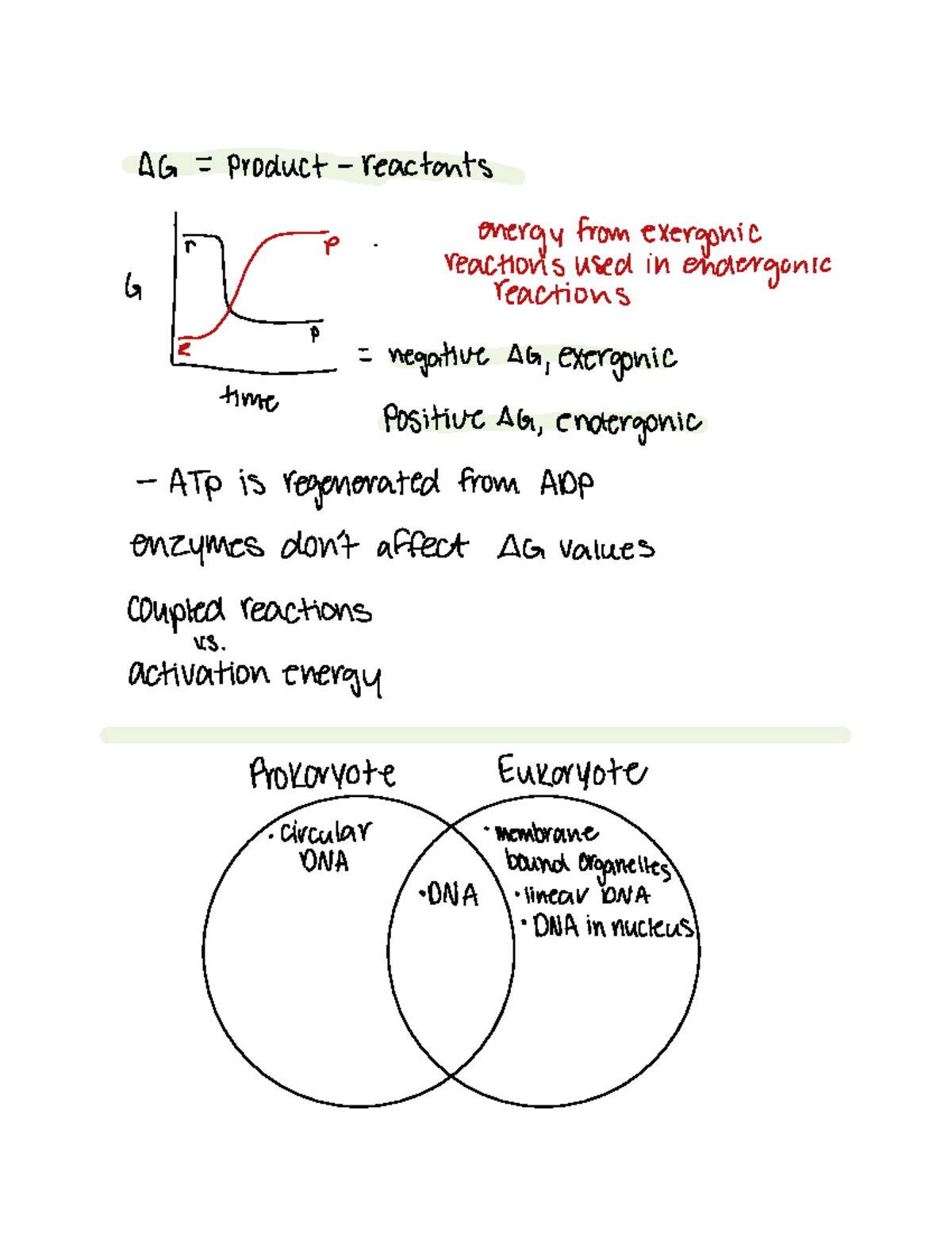 Organelles - Jason Freund - AG Product reactants ...