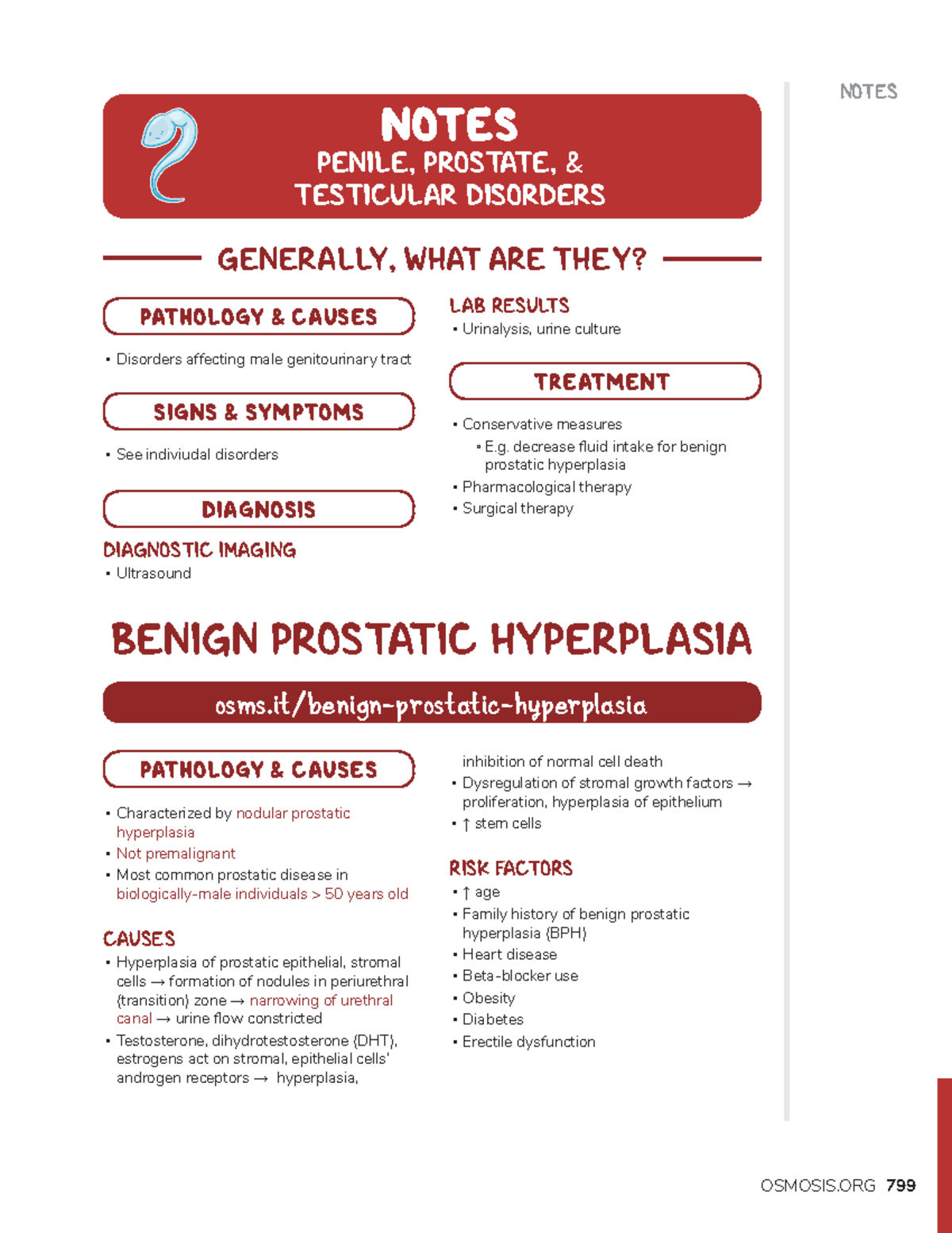 5.Penile, prostate, and testicular disorders - NOTES PENILE, PROSTATE ...