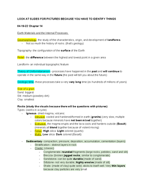 PHIL 323 - Midterm - Professor Matthew Calarco. This is all the ...