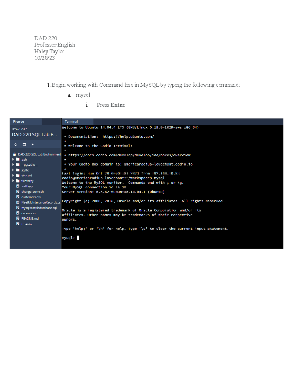 DAD 220 Model One Lab Assignment - Taylor, Haley - DAD 220 Professor ...