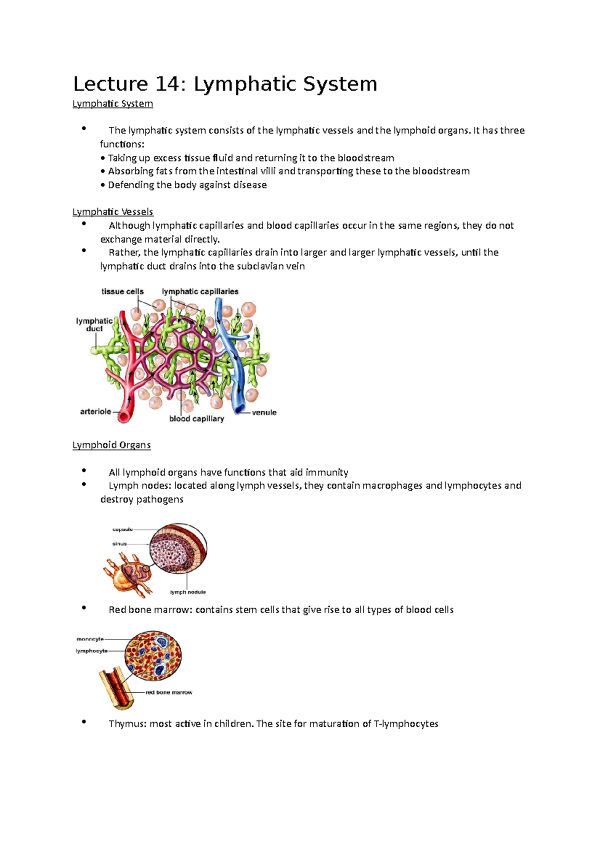 BIOL1210 Lecture 14: Lymphatic system - Lecture 14: Lymphatic System ...