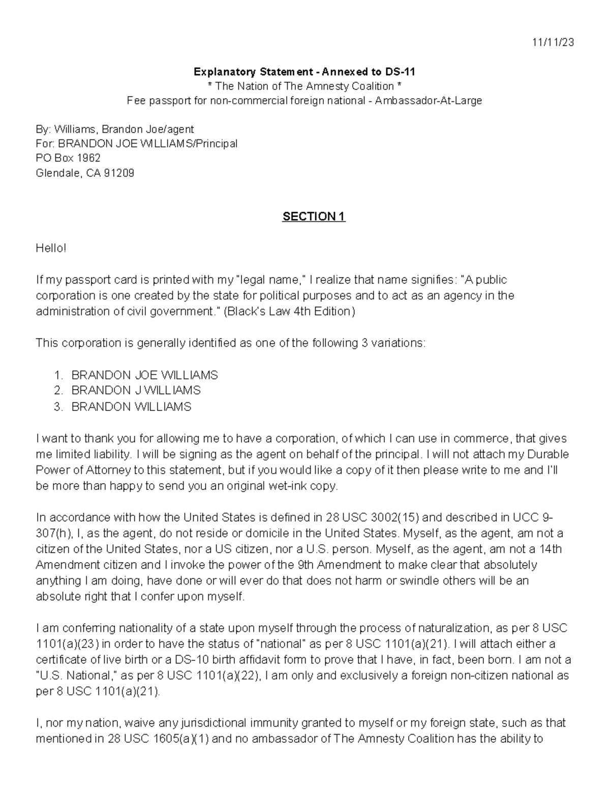 Explanatory Statement for The Amnesty Coalition - 11/11/ Explanatory ...