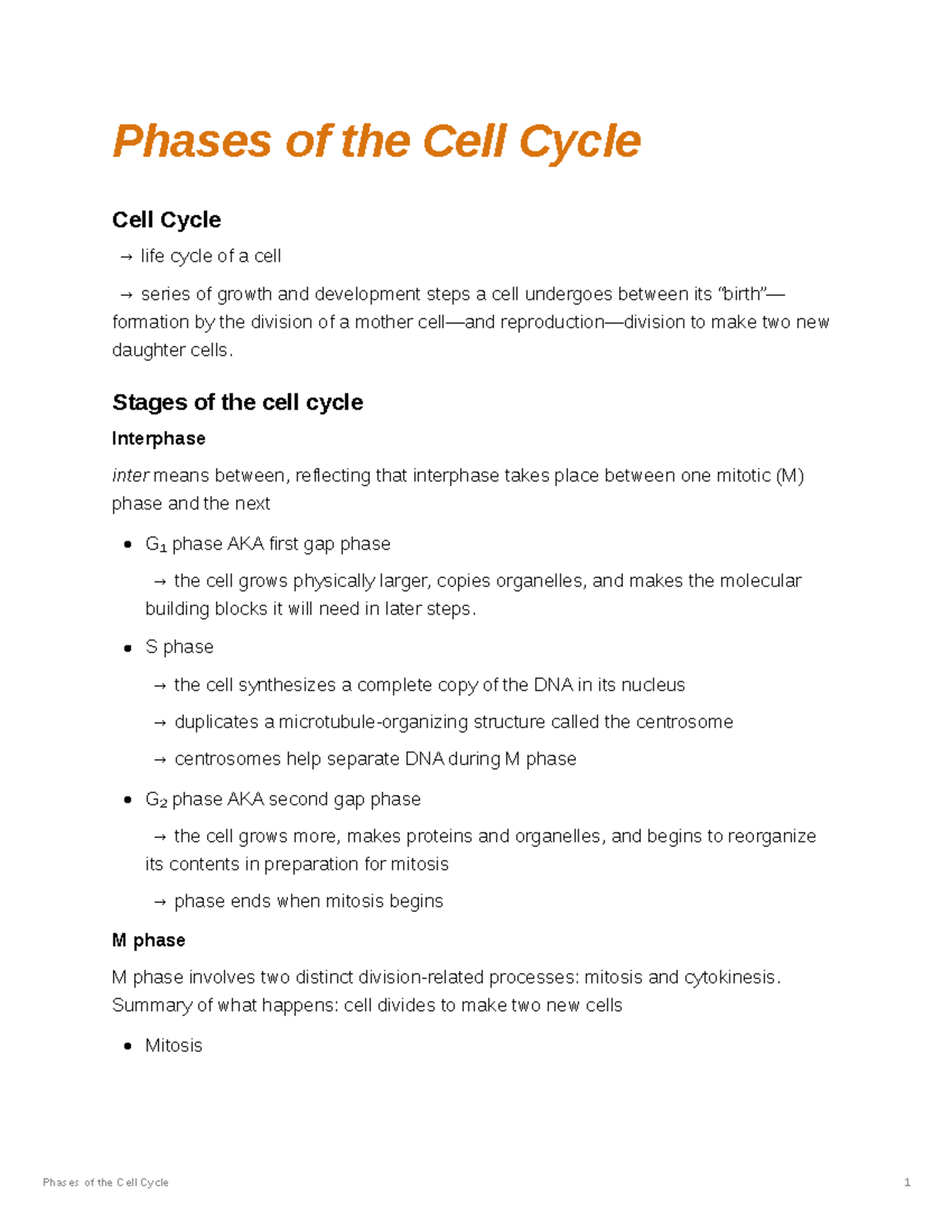 Phases of the Cell Cycle - Stages of the cell cycle Interphase inter ...